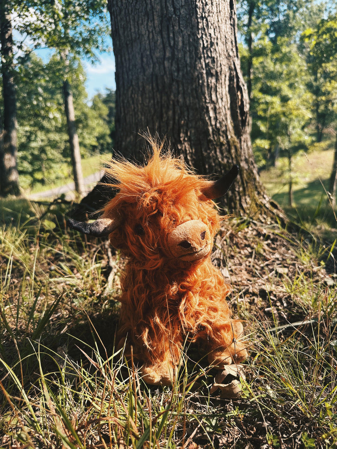 Ginger Highland Coo Plush Toy – Faire Isles Trading Company